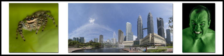 format portrait | Fotoloco | Fotoloco